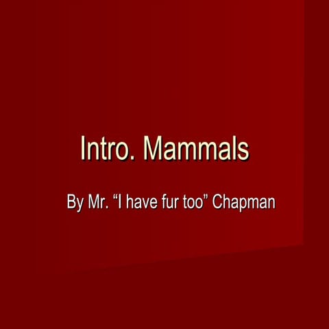 Mammals introduction | PPT