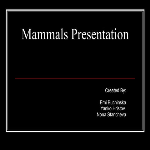 Characteristics of mammals | PPT