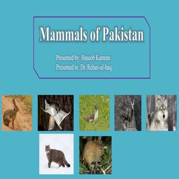Mammals of pakistan 2 | PPTX