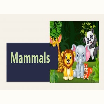 Mammals power point for grade three students. | PPTX