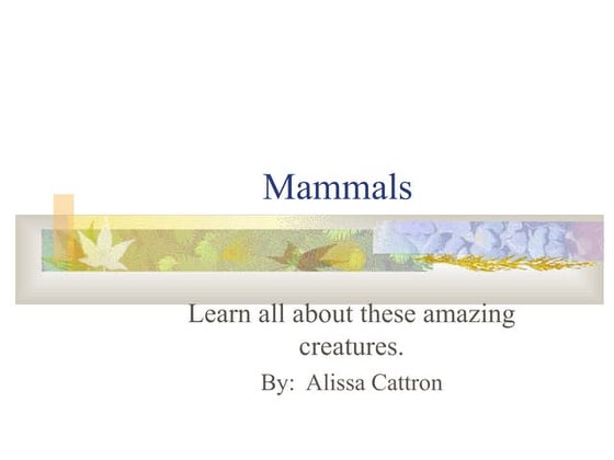 Mammals | PPT