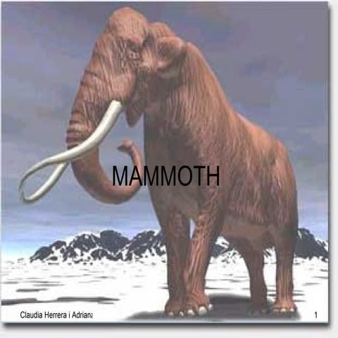 Mammoth | PPT
