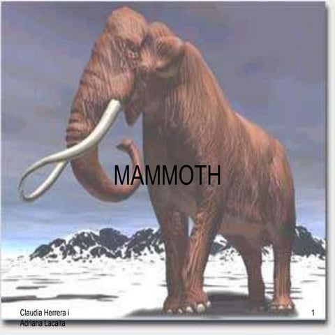 Mammoth | PPT