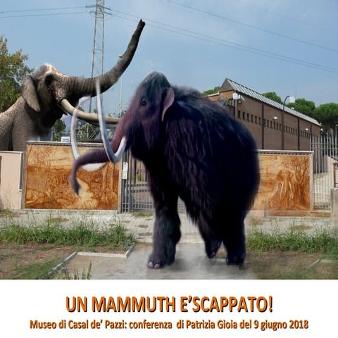 Mammuth e elefanti a Roma | PPT | Free Download
