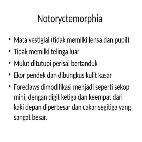 Power point matkul mamologi_Notoryctemorphia | PPTX