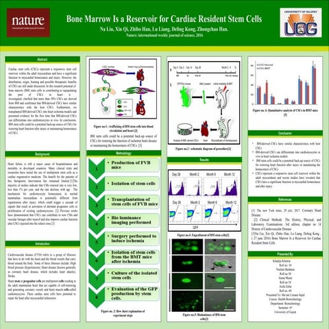 Poster presentation Bone Marrow | PPT