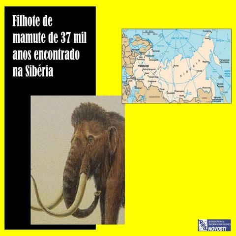 Mamute | PPT