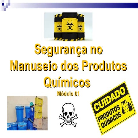Segurança no manuseio de produtos químicos | PPT