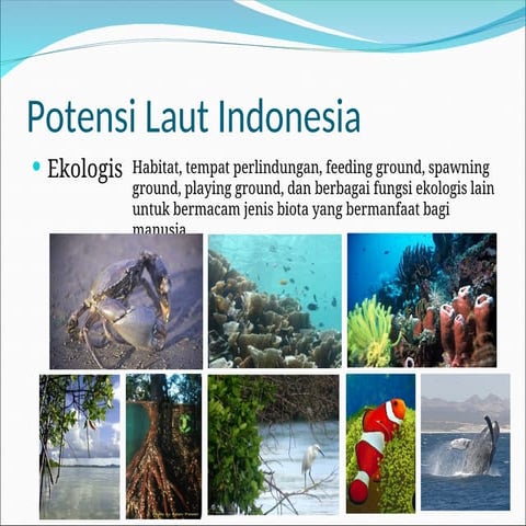 man-and-the-ocean -pontesi laut indonesiappt | PPT