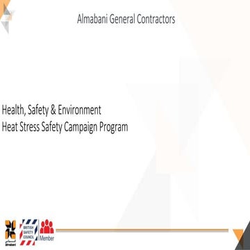 Man-Machine Interface Campaign Program.docx