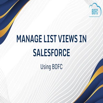 Manage List Views in Salesforce Using BOFC | PDF