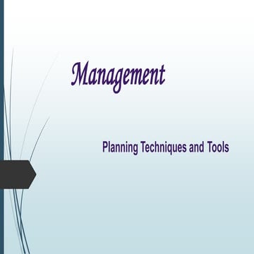 Management Planning Techniques and Tools | PPTX