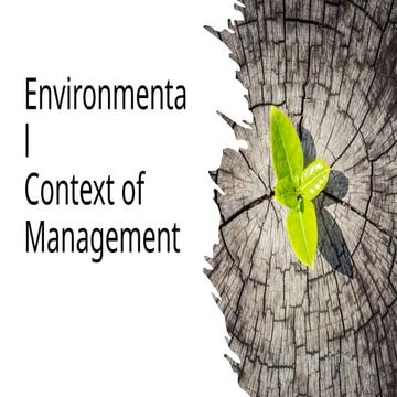environment context of management presentation | PPTX