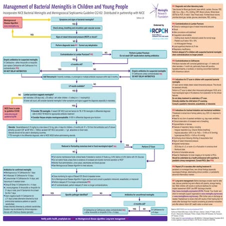 Management-of-Bacterial-Meningitis-in-Children-and-Young-People ...