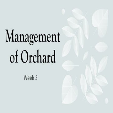 ORCHARD MANAGMENT | PDF