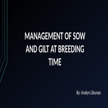 Management-of-Sow-and-gilt-at-breeding-time.Analyndfgggggg-1.pptx