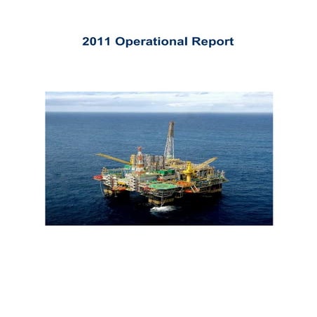 Management discussion report 2011 | PDF