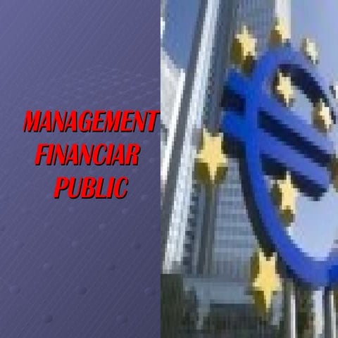 Management Financiar Public | PPT