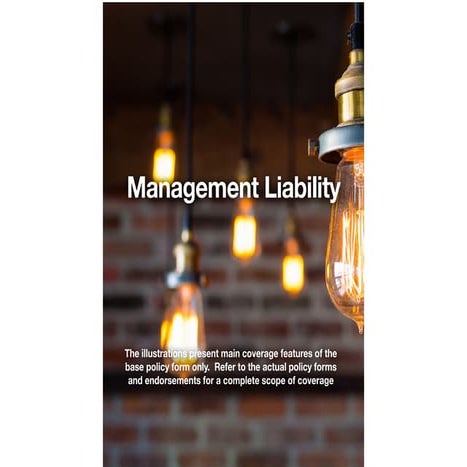 Directors and Officers Liability Insurance | PPSX