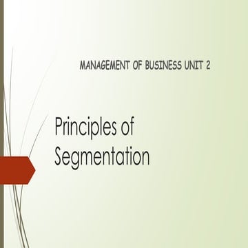 MANAGEMENT OF BUSINESS - SEGMENTATION 6B & A.pptx