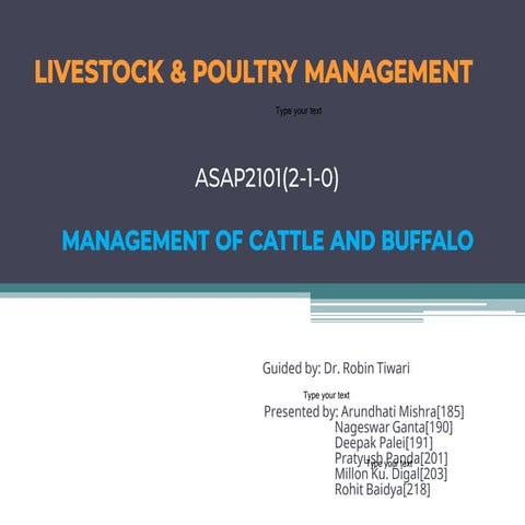 MANAGEMENT OF CATTLE AND BUFFALO.pdf | Veterinary Medicine | Pets
