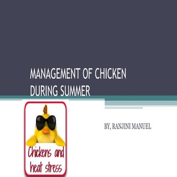 Management of chicken during summer (1) | PPT