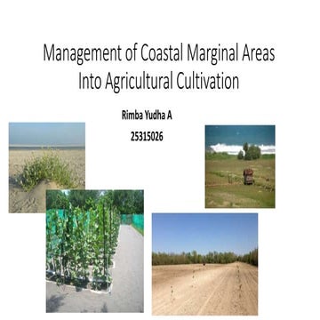 Management of coastal marginal areas into agricultural cultivation | PPTX