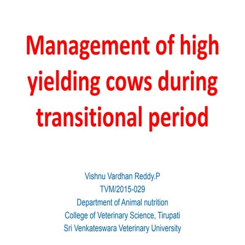 Management of high yielders during transition period | PPTX