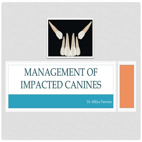 Maxillary canine | PPTX