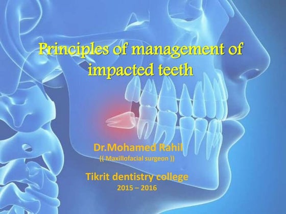Dental anatomy reference_guide | PDF