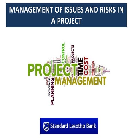 Management of issues and risks | PPTX | Technology & Computing