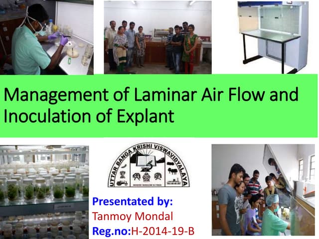 Laminar air flow | PPTX