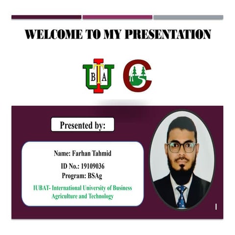 Management of Major Rice Diseases to Innovative Land Arrangement.pptx