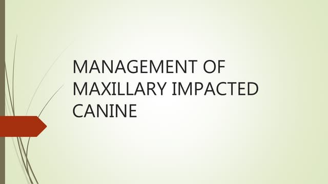 Bsp bpe guidelines_2019 | PDF