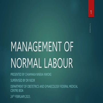 MANAGEMENT OF NORMAL LABOUR IN WOMEN IN HOSPITALS | PPT