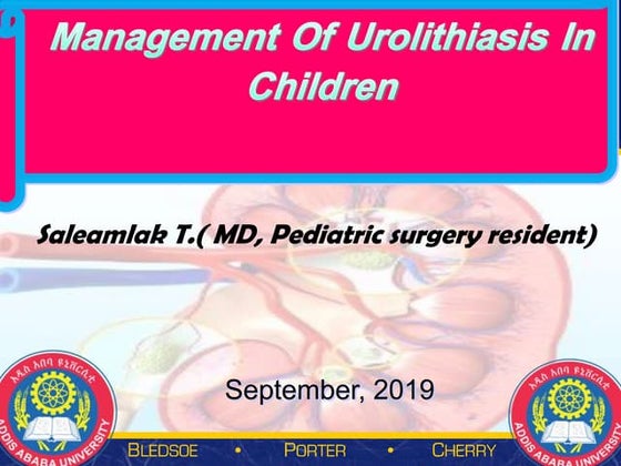 Finalised Poster (minimised size) | PPT