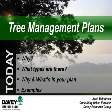 Urban Forest Management Plan | PDF
