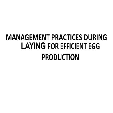 Lecture 7 (Layer Management).pptx