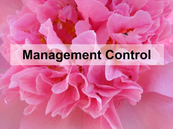 Controlling in nursing management | PPTX | Business | Business and Finance