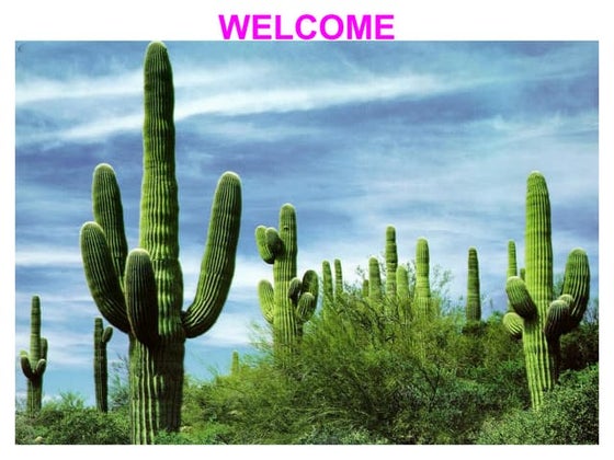 T&D Ladderized Training Program.pptx