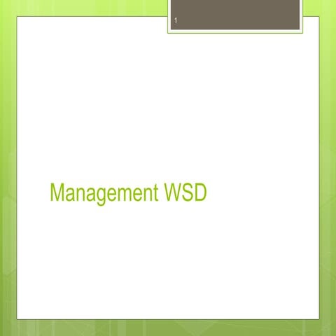 Management WSD.ppt
