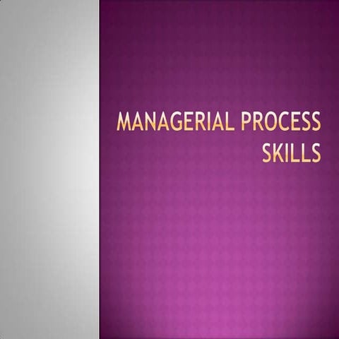 Managerial process skillls 2 | PPTX