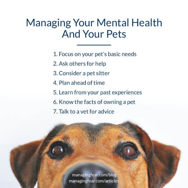Mental Health And Your Pets | PDF
