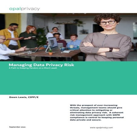 Managing data privacy risk | PDF