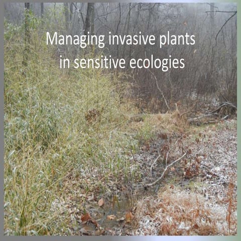 Managing Invasive Plant In Sensitive Ecologies | PPTX
