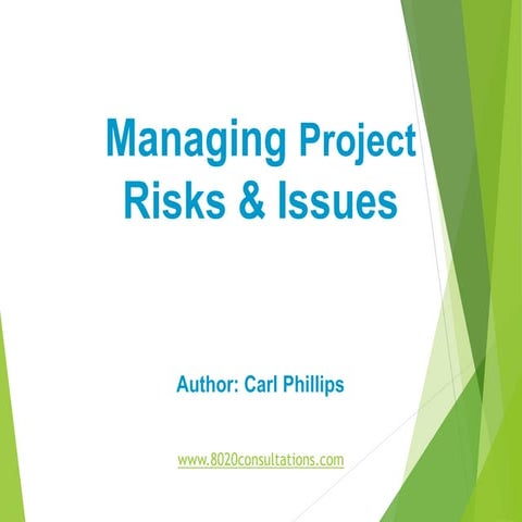 Managing Project Risks & Issues | PPT