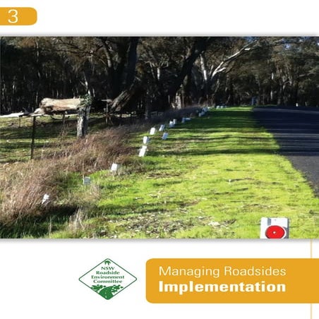 Guide: Managing roadside environments 3 - Implementation | PDF ...