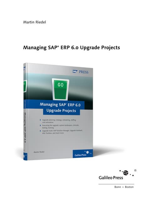 Sap Upgrade Project Brief | PPT | Technology & Computing