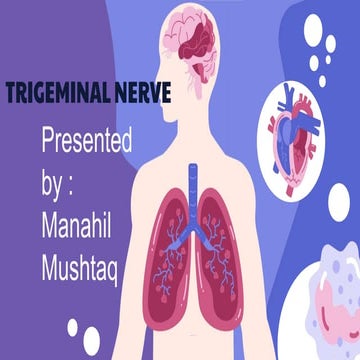 cranial nerve 5 detailed decription and presentation | PPTX