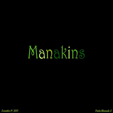 Manakins | PPT